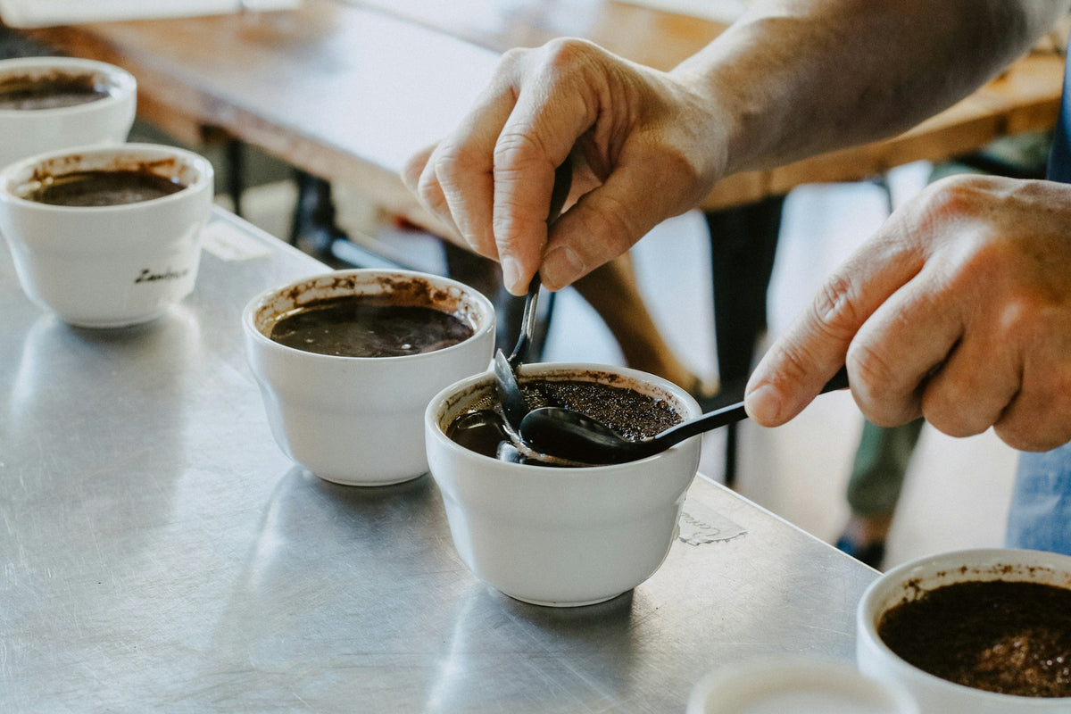 The Complete Guide to Coffee Flavours: Identifying Notes and Nuances ...